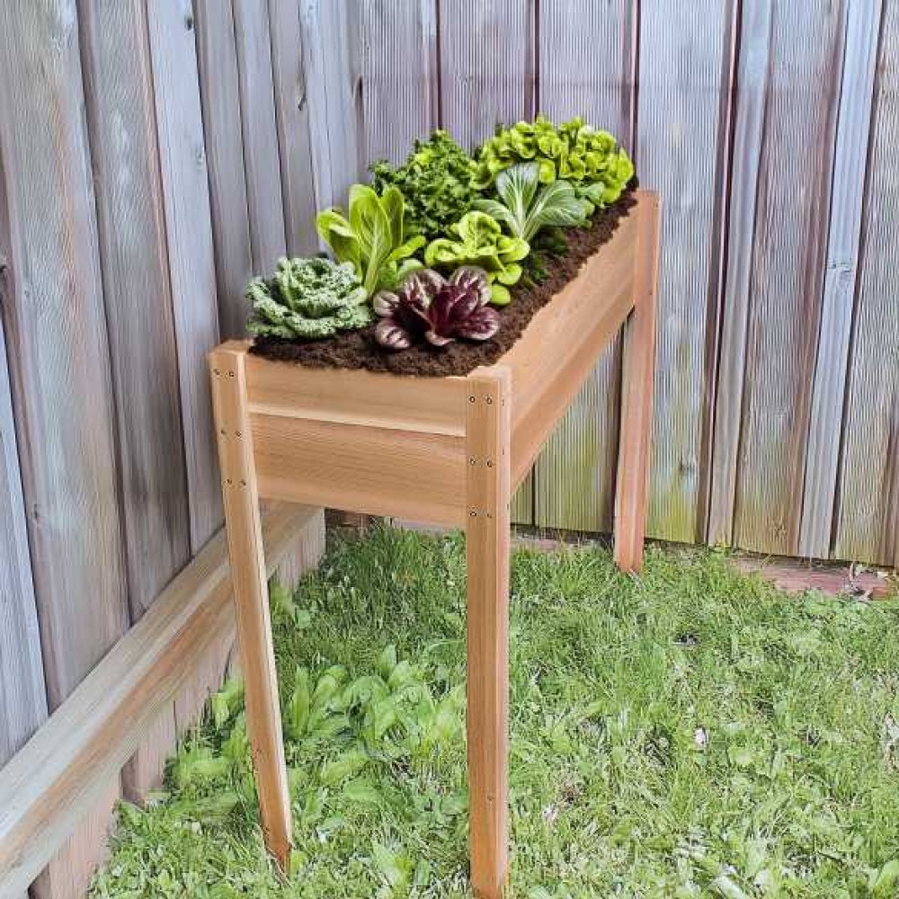 All Things Cedar 4-ft Planter Box on Legs | Home Furniture and Patio