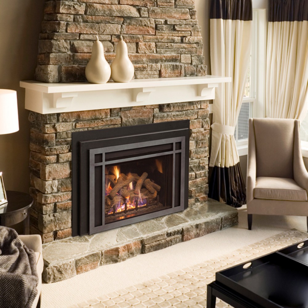 Real Fyre Traditional Direct Vent Inserts with Logs and Millivolt ...